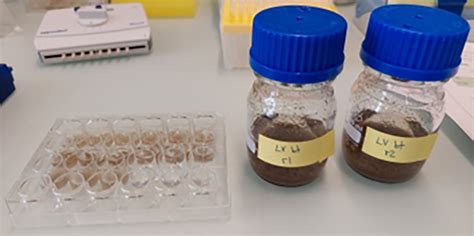 Eawag Swiss Federal Institute Of Aquatic Science And Technology Eawag