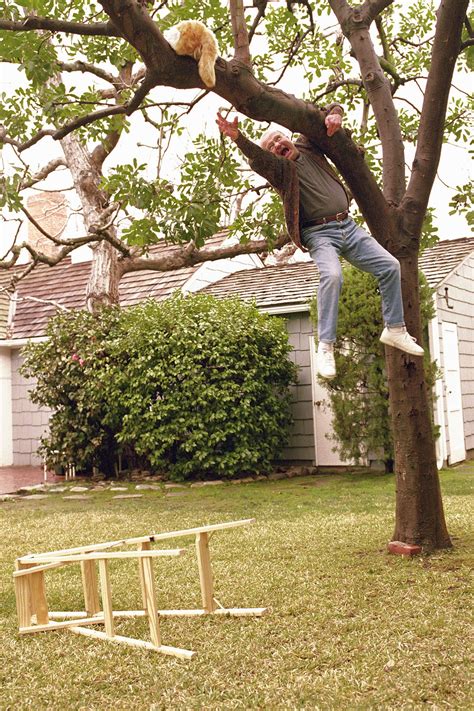 Firefighters Rescue Man Stuck In Tree Rescuing Cat Stuck In Tree