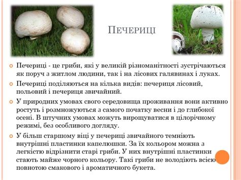 Презентація на тему Їстівні та отруйні гриби