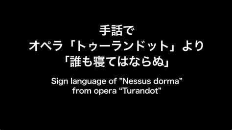 【手話】オペラ「トゥーランドット」より「誰も寝てはならぬ」／sign Language Of ”nessus Dorma” From