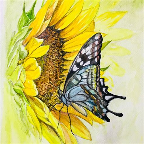 수채화 해바라기꽃과 나비 네이버 블로그
