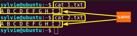 the “cmp” command in linux [7 practical examples]