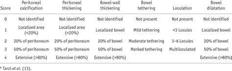 Features Of The Computed Tomography Scoring System A Download Table