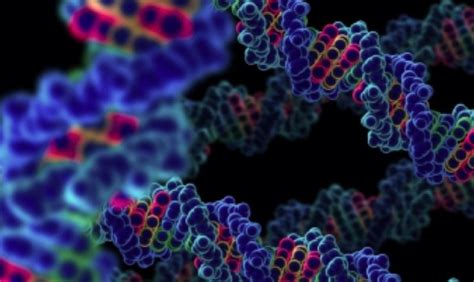 Oligonucleotide Api Market Set For Strong Growth Amid Rising Drug