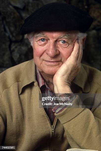 Pictures And Photos Getty Images
