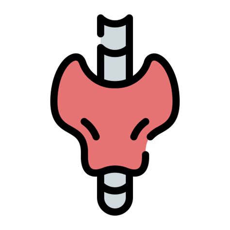 Thyroid Generic Outline Color Icon
