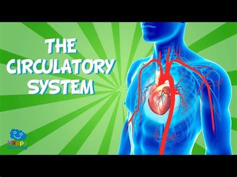 Martuniverse Circulatory System