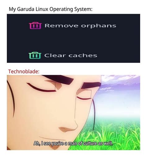 Pc Asking To Remove Orphans Rtechnoblade