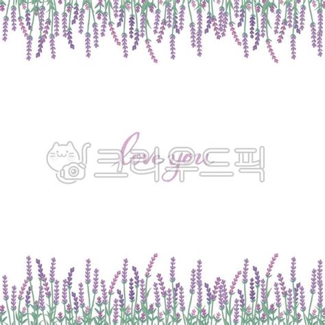 Purple 보라 Flower 꽃 Lavender 사진이미지일러스트캘리그라피 Janeja08작가