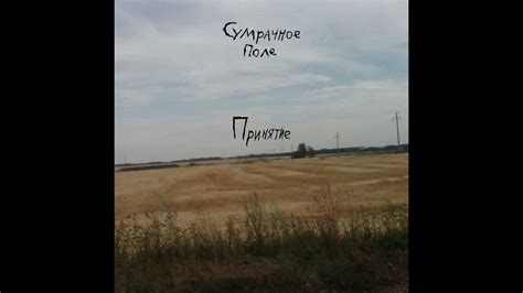 Бессмысленность Youtube