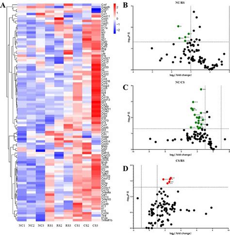 Cytokine Profiles In Rat Colon Tissue A Hierarchical Clustering Download Scientific Diagram