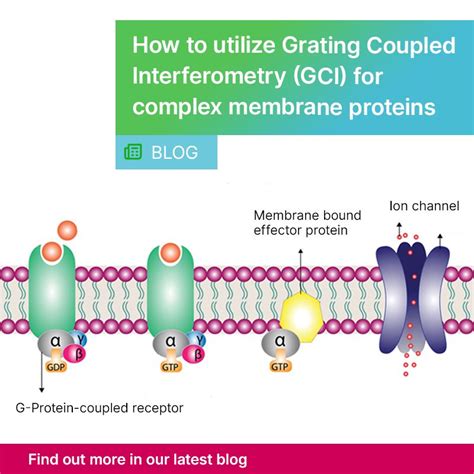 Deborah Huck Jones On Linkedin How To You Measure Your Complex
