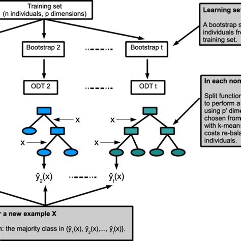 Multi Class Random Forest Of Oblique Decision Trees Download Scientific Diagram