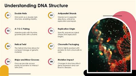 Dna Denaturation Genetic Information Ppt Template Acp Ppt Powerpoint