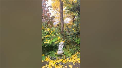 물주는 소녀 조각상과 가을 단풍 떨어지는 은행잎 Youtube