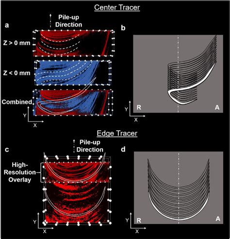 Shapes Of The Micro Ribbons After Steady State Deposition A Download Scientific Diagram
