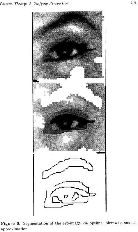 Segmentation Of The Eye Image Via Optimal Piecewise Smooth