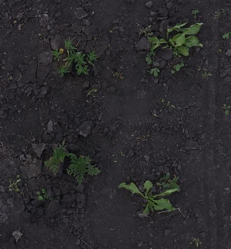 Weed Crop Rgb Object Detection Dataset By Open Agdata