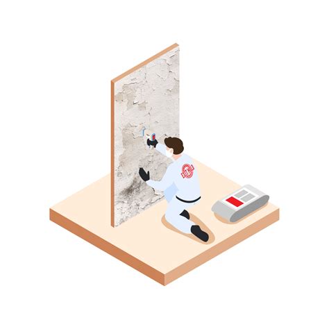 Xrf Lead Testing New York Exit Mold