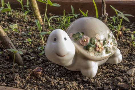 Turtle Ceramic Of Free Photo On Pixabay Pixabay