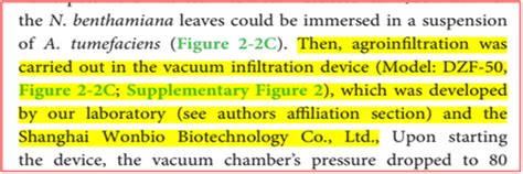 上海交通大学唐克轩课题组在植物转化领域取得重大成果 上海万柏生物科技有限公司