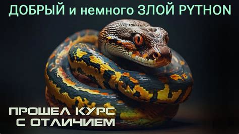 Я прошел курс Добрый добрый Python” Youtube