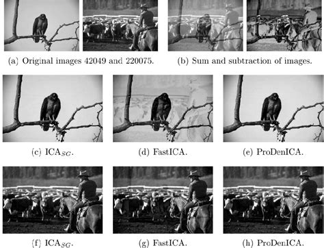 Figure 1 From Ica Based On The Data Asymmetry Semantic Scholar