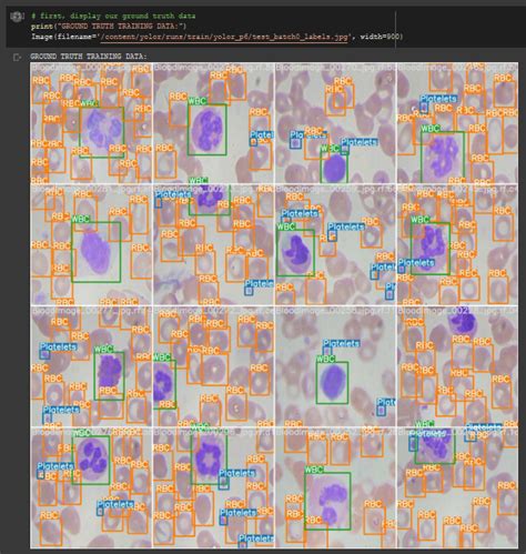 How To Train Yolor On A Custom Dataset