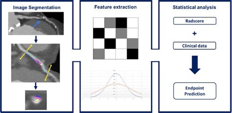 Low Attenuation Plaque Ccta Radiomics Workflow Image Segmentation Download Scientific Diagram