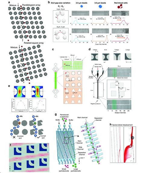 Dld Pillar Array Design Variations With Pillar Gap Size And Shape A