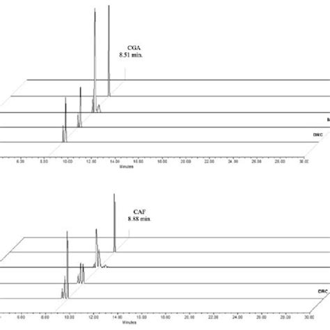 Chromatograms Of Hplc At λ 330 Nm Of A Cga Standard 25 µgml And Download Scientific
