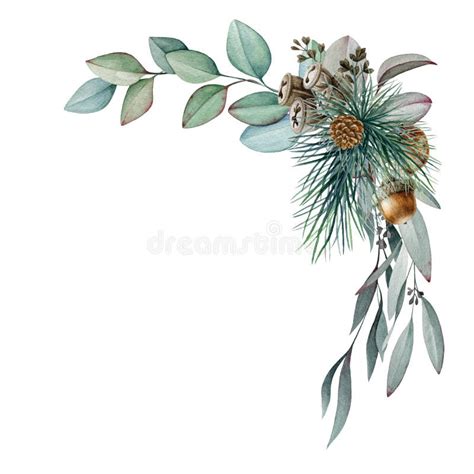 Floral Winter Natural Arrangement Watercolor Illustration Hand Drawn