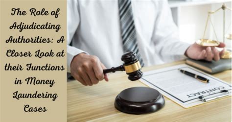 A Closer Look At Their Functions In Money Laundering Cases