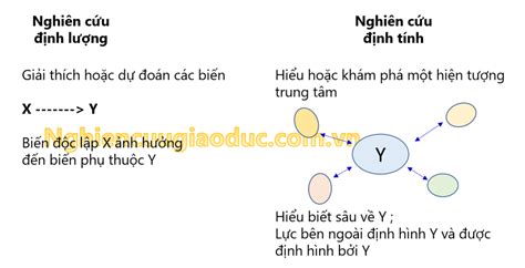 Bài 4 Mục đích và câu hỏi nghiên cứu định tính