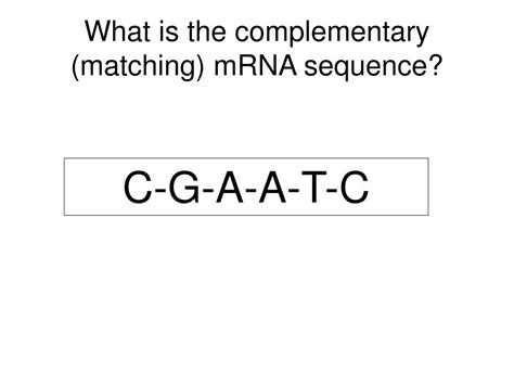 ppt dna rna review powerpoint presentation free download id 6910488