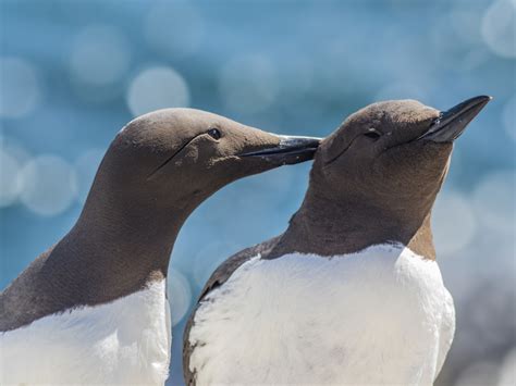 Your Photos Arent Good Enough Seven Traps That Possibly Caught You Fstoppers