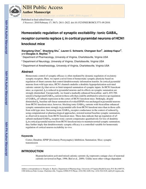 Pdf Homeostatic Regulation Of Synaptic Excitability Tonic Gaba A Receptor Currents Replace I