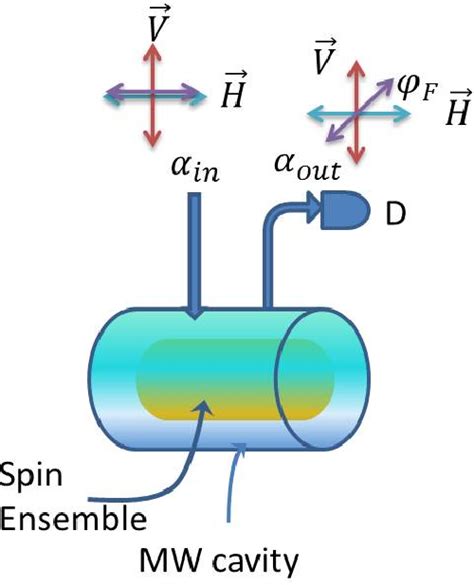 Figure 1 From Detection Of A Weak Magnetic Field Via Cavity Enhanced