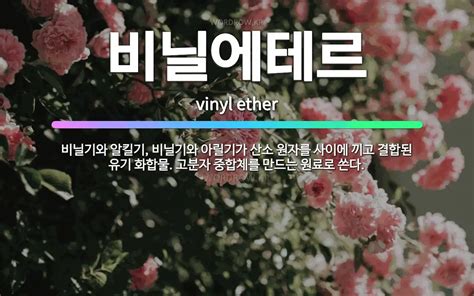 🌟비닐에테르 비닐기와 알킬기 비닐기와 아릴기가 산소 원자를 사이에 끼고 결합된 유기 화합물 고분자 중 표준국어대사전