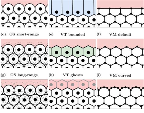 Cell Boundary Description Schematics Os Models Are Pictured In A