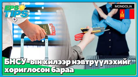 Eps Tips Ep 13 БНСУ ын гаалийн шалгалт хийх журам хилээр нэвтрүүлэхийг хориглосон бараа Youtube