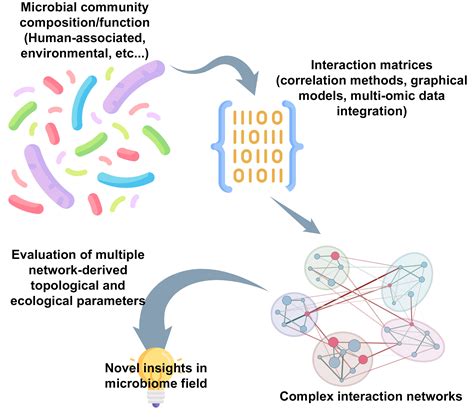 Connect The Dots Sketching Out Microbiome Interactions Through