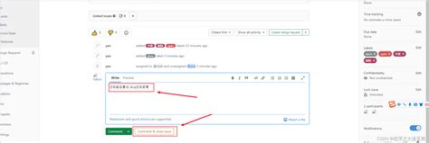 使用gitlab的issues做项目开发的缺陷管理gitlab Issues怎么用 Csdn博客