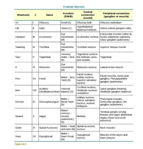 Cranial Nerves Mnemonic Table