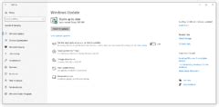 Windows Build BetaWiki
