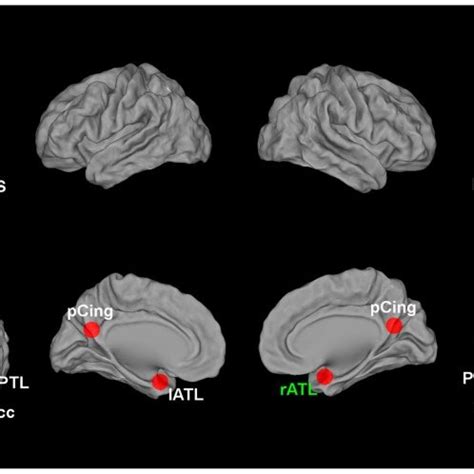 Brain Regions Encoding Information That Contributes To The Download Scientific Diagram
