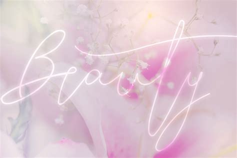 signature script kreativ