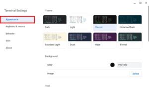 How to Open the Linux Terminal on Chromebook - thecoderworld