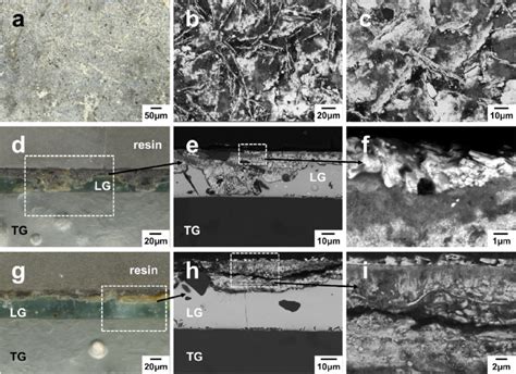 Morphologies Of The Surface And Cross Section Of Sample No 3 A And