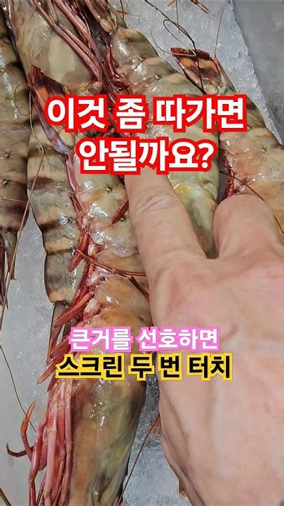 저 이것 좀 따가면 안될까요 해학 Youtube